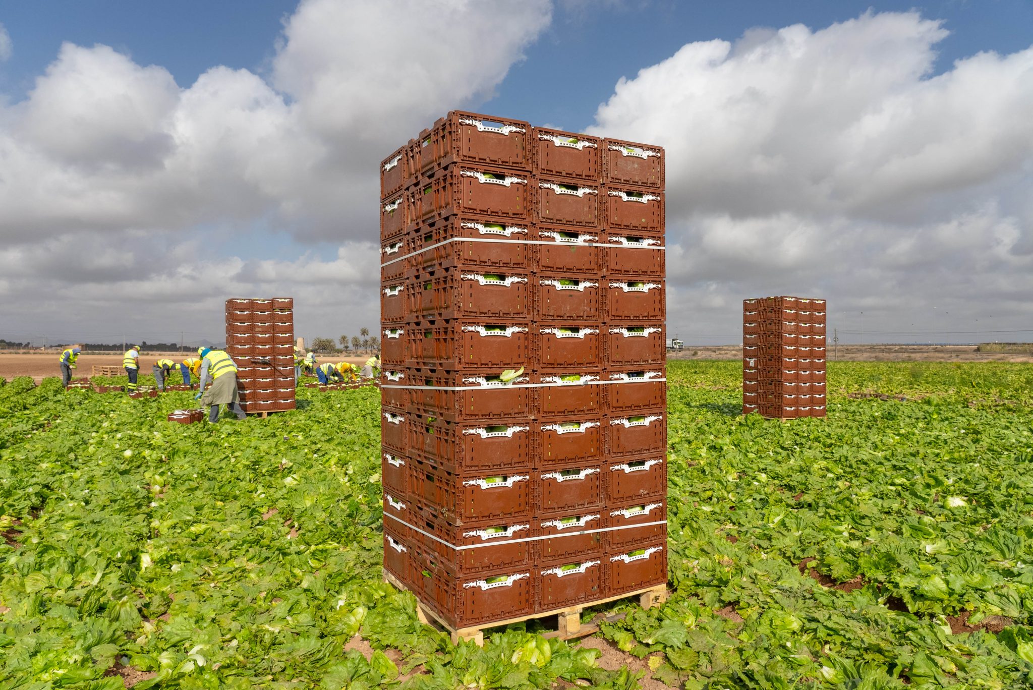 Navigating EU packaging regulations - Inside Sustainability