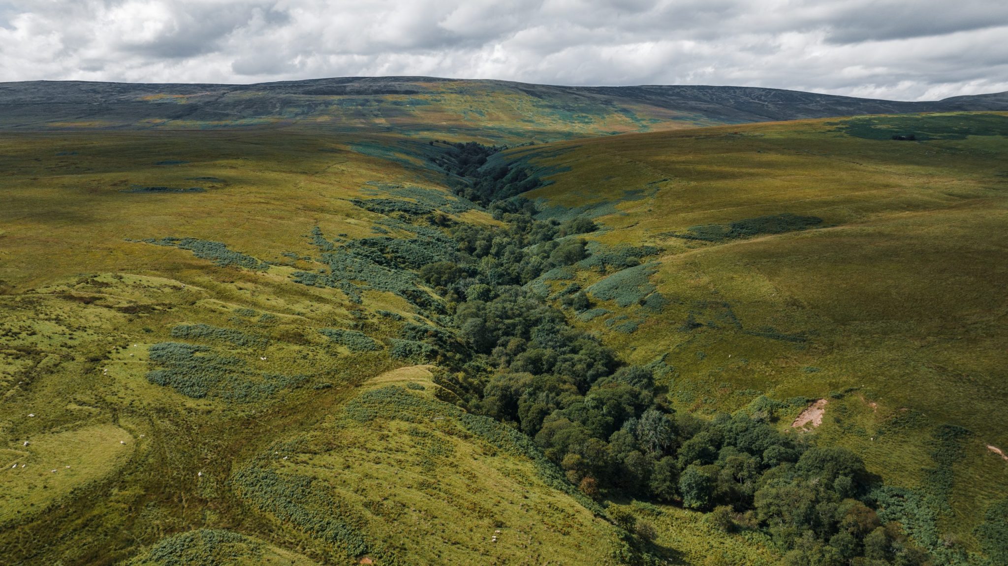 Triodos Bank commits €500 million to nature-based solutions - Inside ...