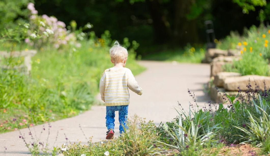 National Trust welcomes philanthropist’s record-breaking donation ...